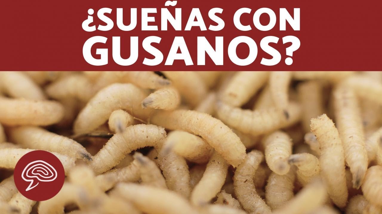 Descubre el significado de los gusanos blancos en tu hogar ※