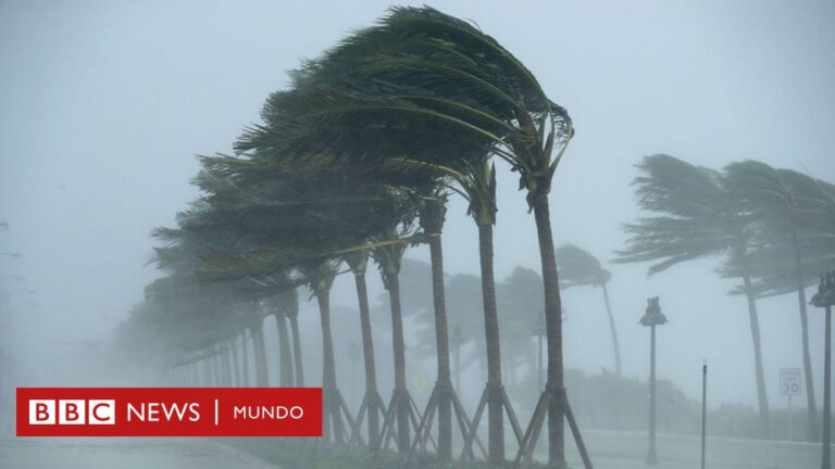 Descubre el significado de soñar con viento fuerte ※