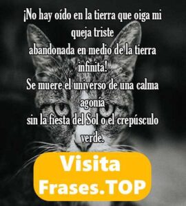 El poema más triste del mundo: ¡Prepárate para llorar con estas ...