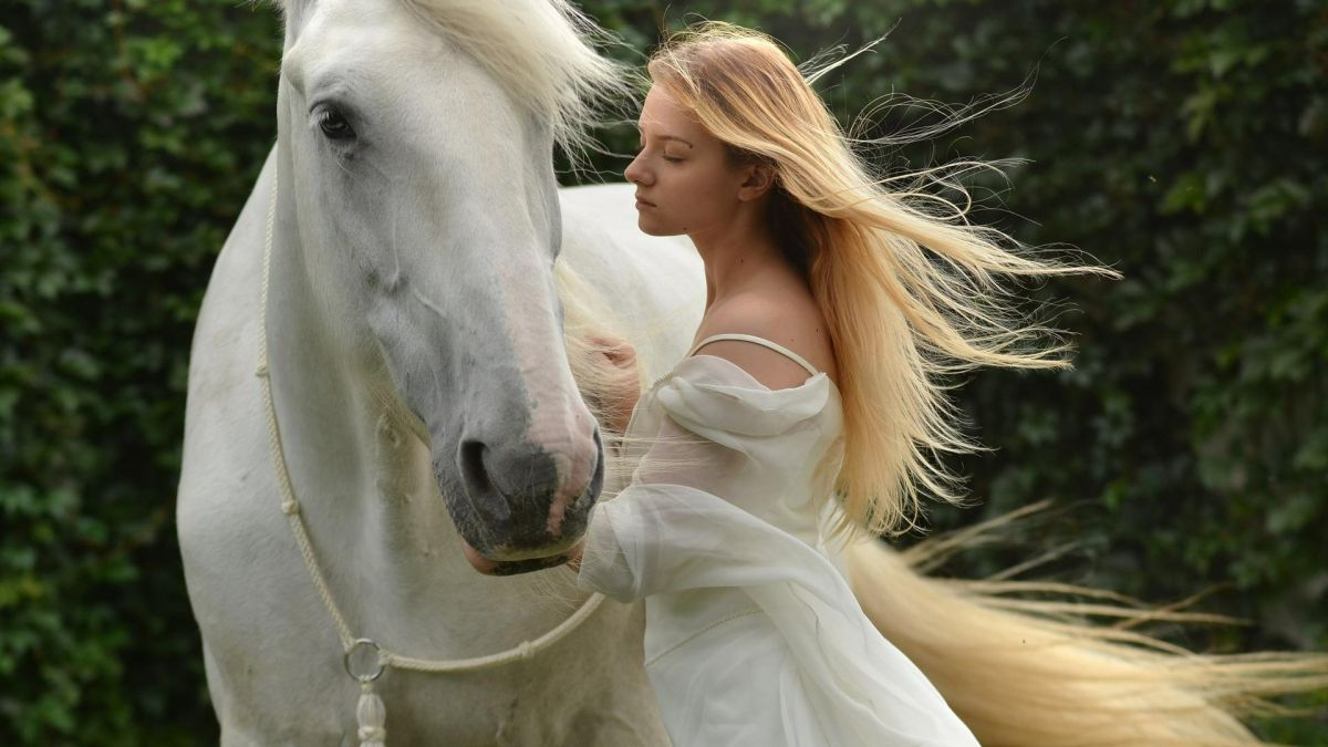 El significado espiritual del caballo: descubre su simbolismo ※
