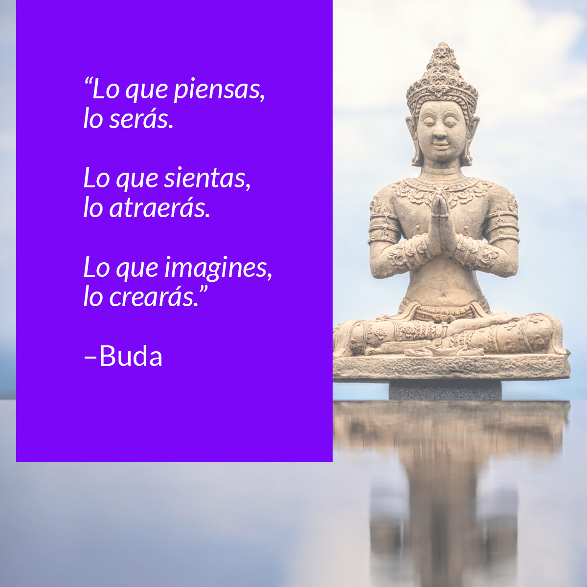 Eres lo que piensas y atraes lo que sientes: la ley de la atracción ...